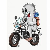 Smashed a Nut | Royal Enfield Owners