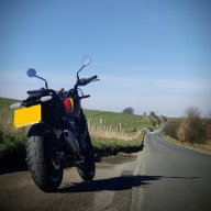 Guerrilla tail tidy | Royal Enfield Owners Forum